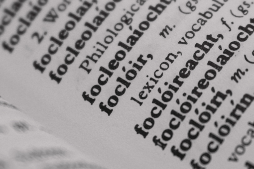 Foras na Gaeilge‘s Concise English-Irish Dictionary published - Foras ...