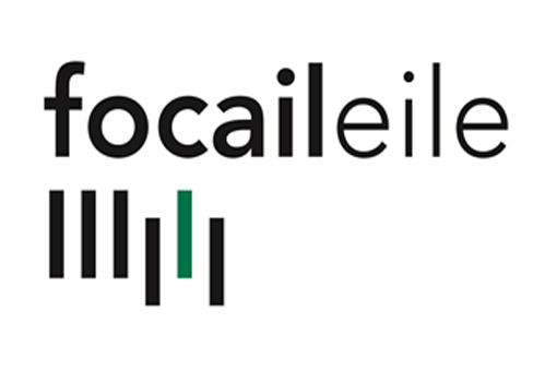 Focail Eile - Foras Na Gaeilge