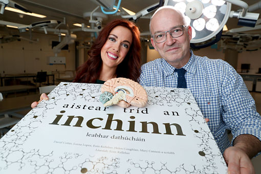 Aistear tríd an Inchinn seolta ag Máire Treasa Ní Cheallaigh - Foras Na ...